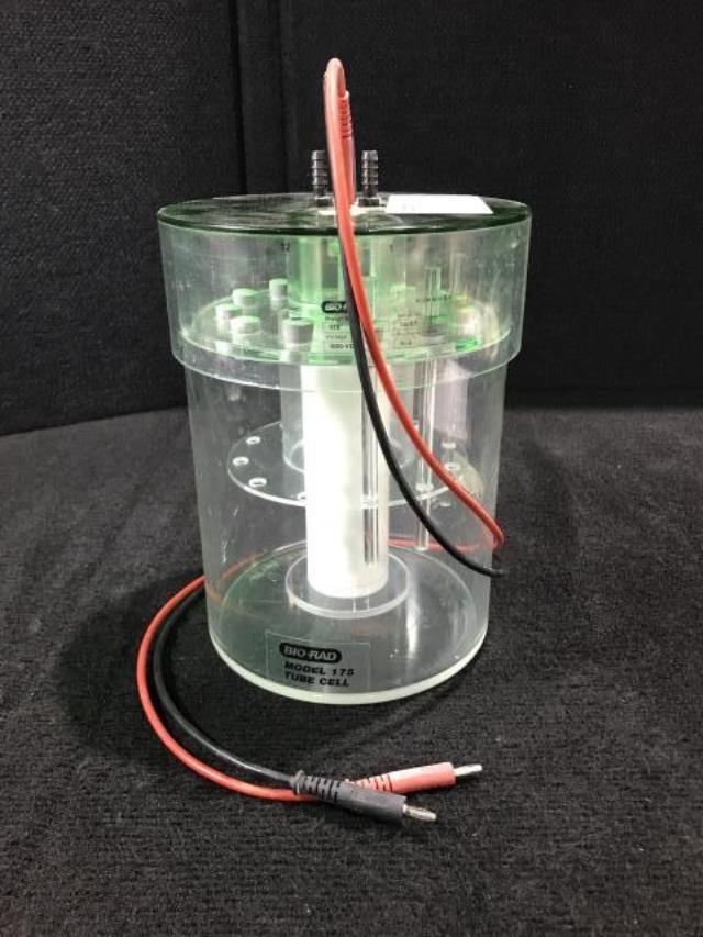 Alberta Online Auction :: Item Detail